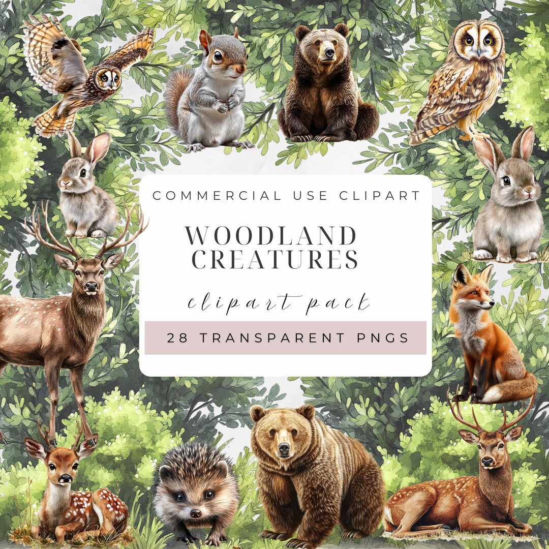 Cute Woodland Animals Clip Art Pack, Digital Art, Clip Art, Woodland ...