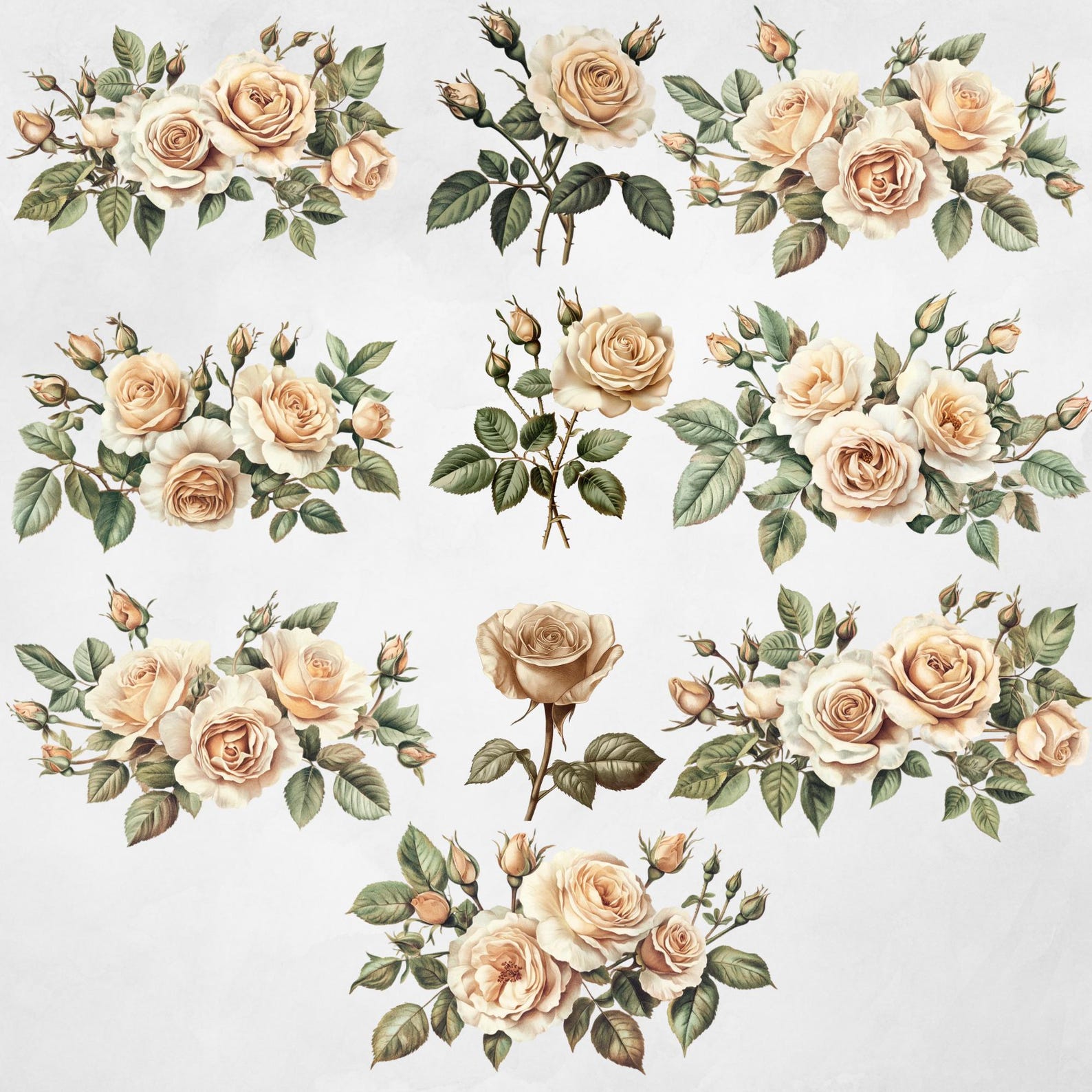 Vintage Roses Clipart Pack, Digital Png, Sticker Book, Birthday Party ...