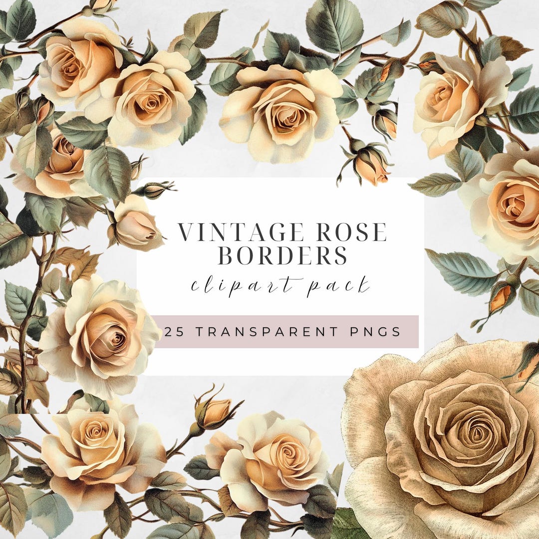 Vintage Rose Borders and Roses Clipart Pack, Digital, Sticker Book ...