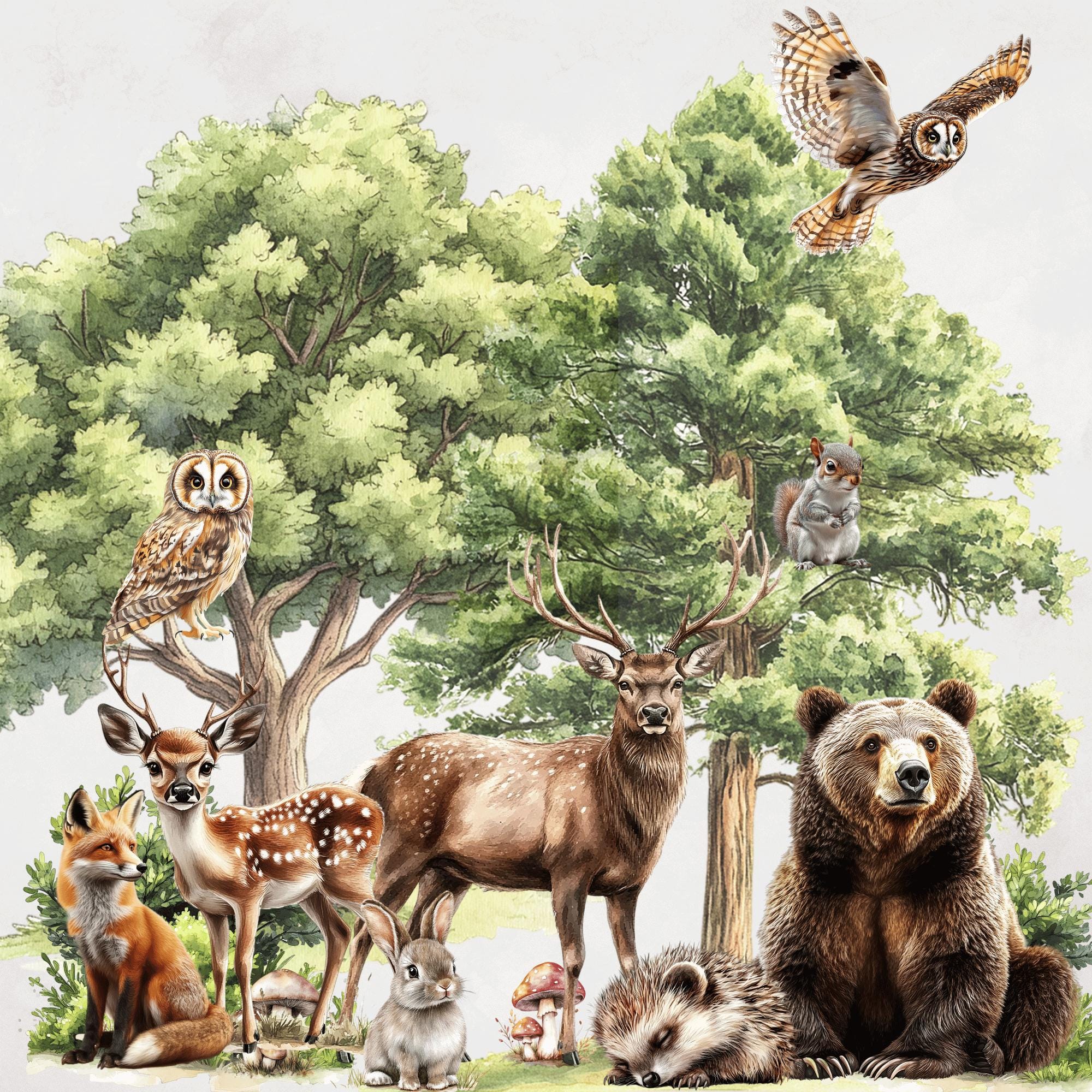 Cute Woodland Animals Clip Art Pack, Digital Art, Clip Art, Woodland ...