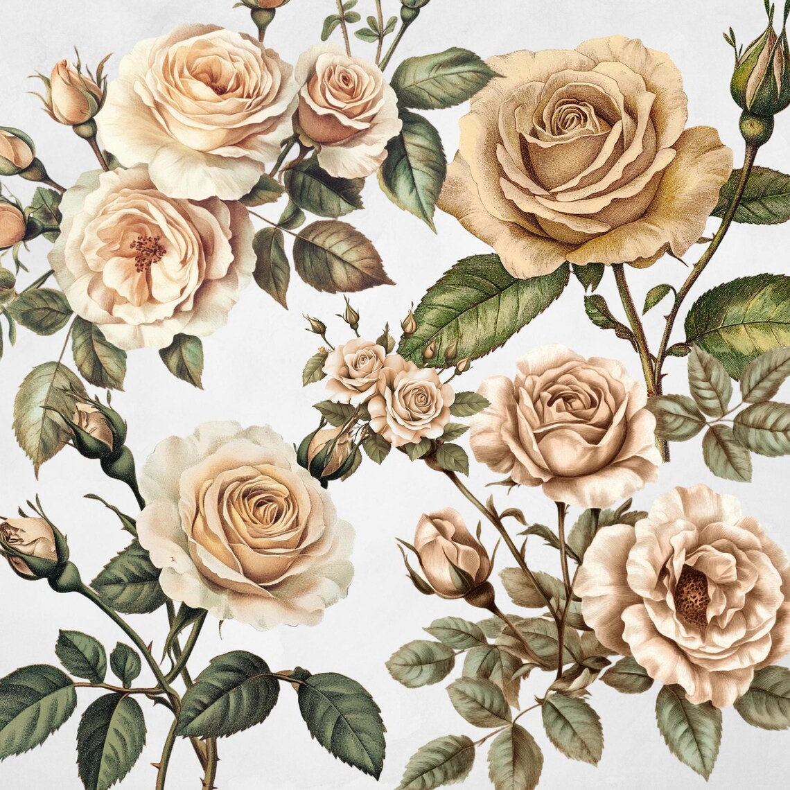 Vintage Roses Clipart Pack, Digital Png, Sticker Book, Birthday Party ...