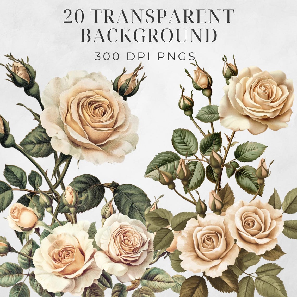 Vintage Roses Clipart Pack, Digital Png, Sticker Book, Birthday Party ...