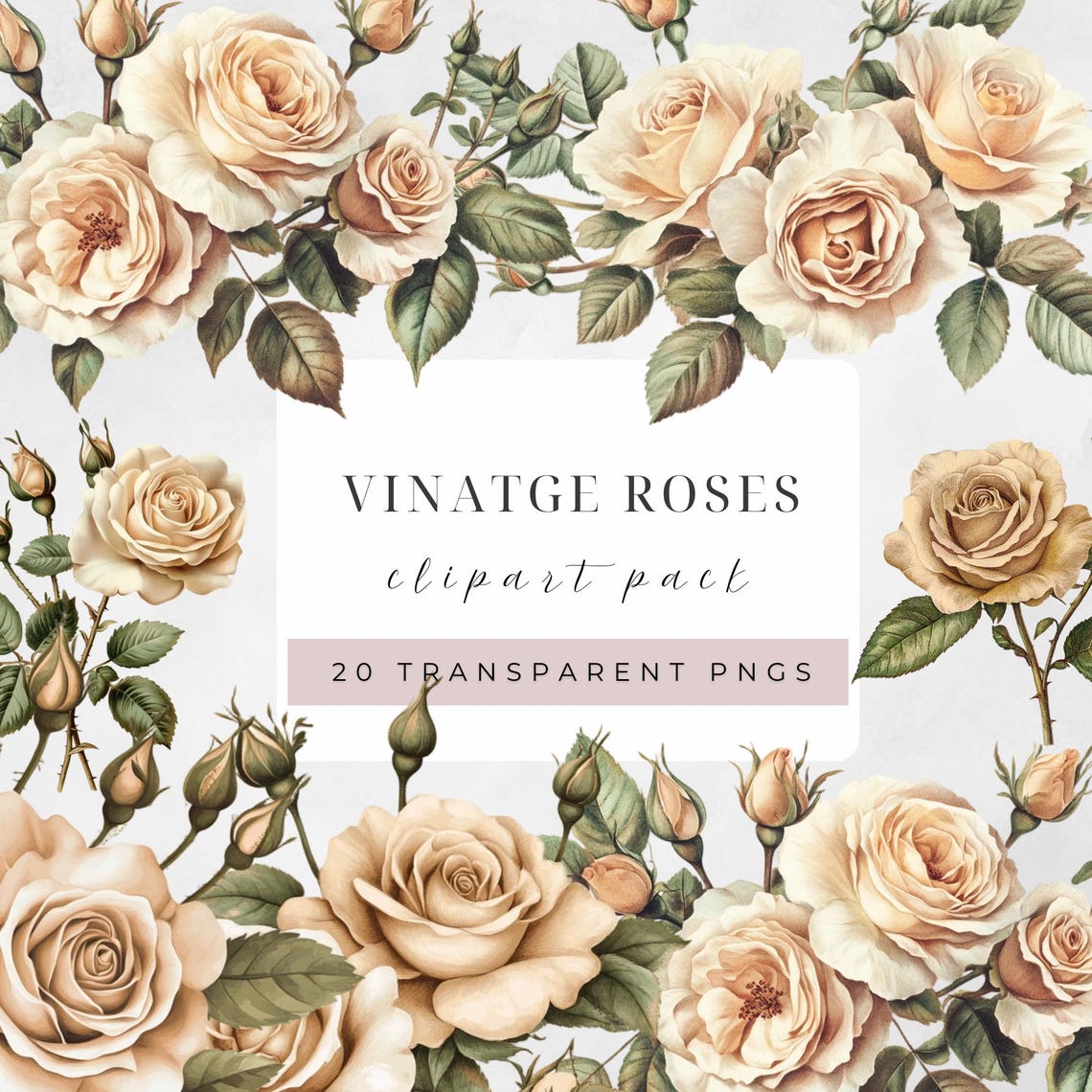 Vintage Roses Clipart Pack, Digital Png, Sticker Book, Birthday Party ...