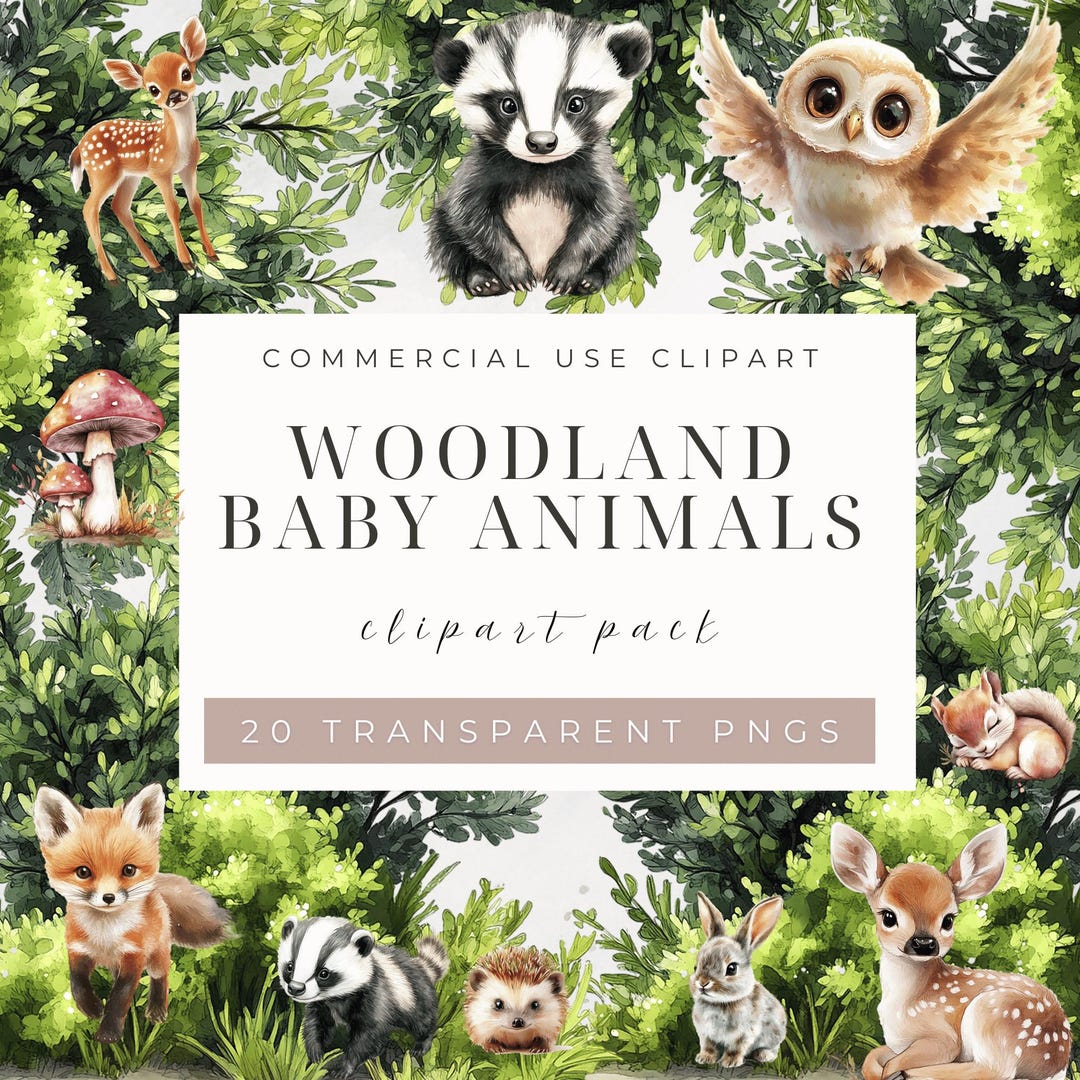 Cute Woodland Baby Animals Clip Art Pack, Digital Art, Clip Art ...