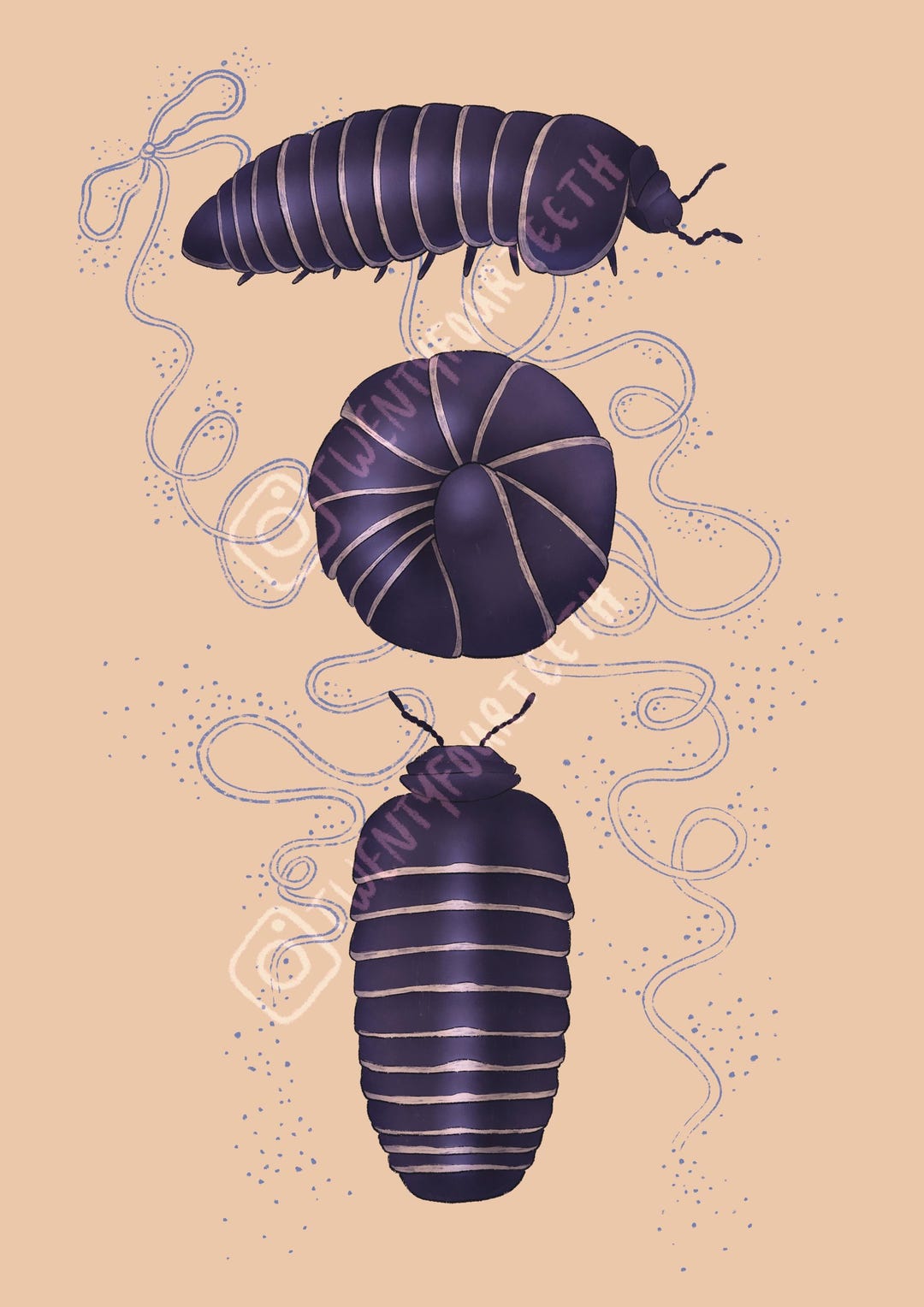 Zebra Isopod Digital Print - Etsy