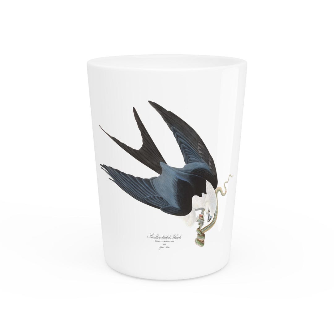 Swallow-tailed Hawk Shot Glass, Hawk With Snake Shot Glass, Artistic ...