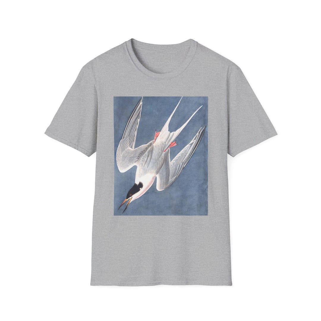 Roseate Tern Illustration T-shirt, Diving Seabird Art, Flying Tern Tee ...