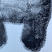 Monoprint of Dog - Etsy