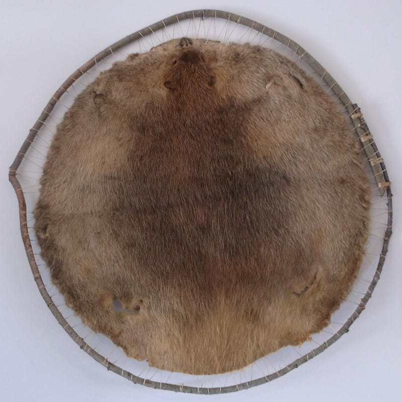 Beaver Pelt - Etsy