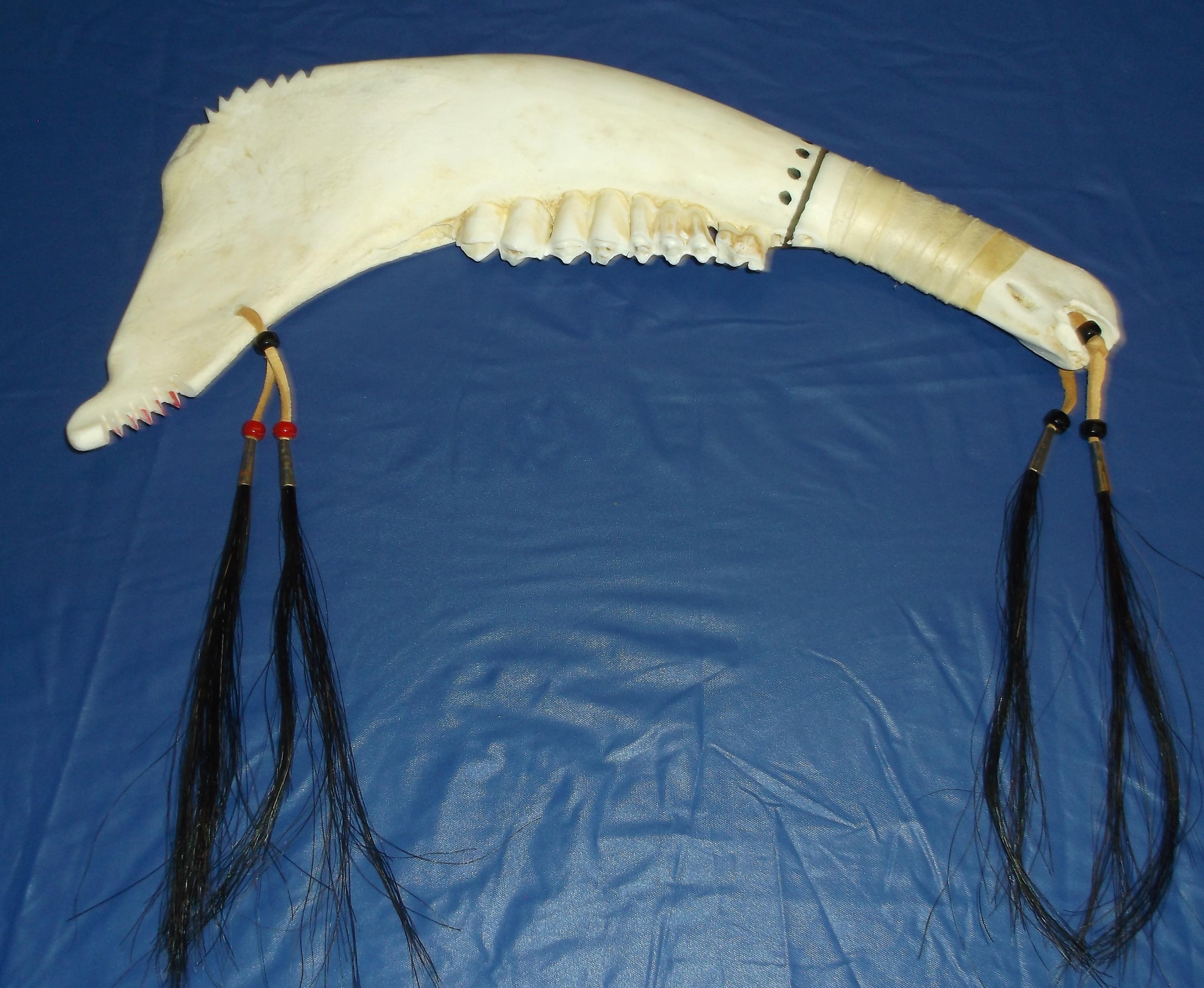 Native Buffalo Jaw Bone Warclub - Etsy