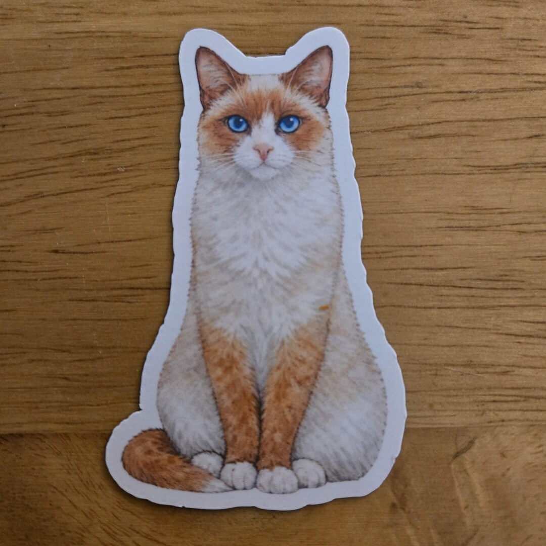 Ginger Snowshoe Cat Magnet – Blue Eyed Red White Feline Decal - Etsy