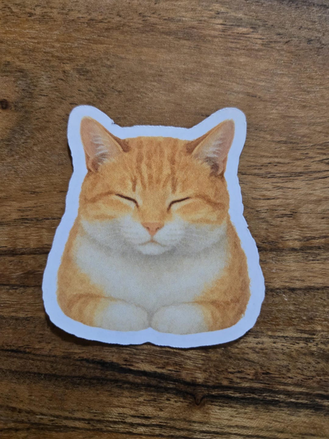 Orange Loaf Cat Magnet – Cozy Sleeping Kitty - Etsy