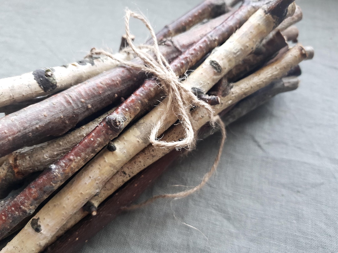 Set of Birch, Alder and Rowan Branches, Mixed Wood Sticks for DIY ...