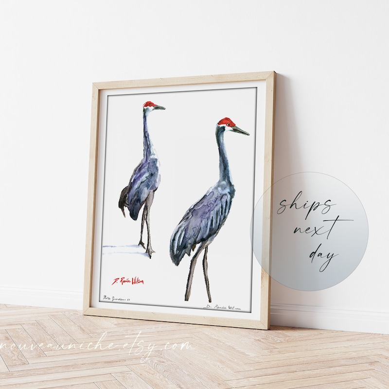 Florida Bird Art - Etsy