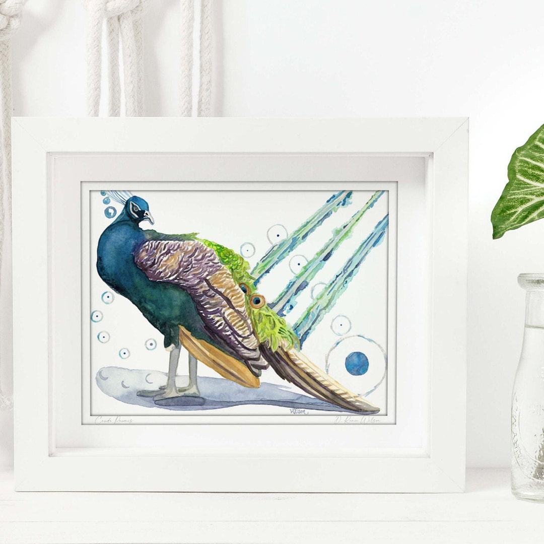 Peacock Painting Watercolor Print, Limited Edition Artwork, Birds of ...