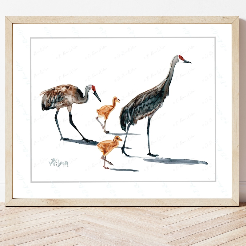 Florida Bird Art - Etsy