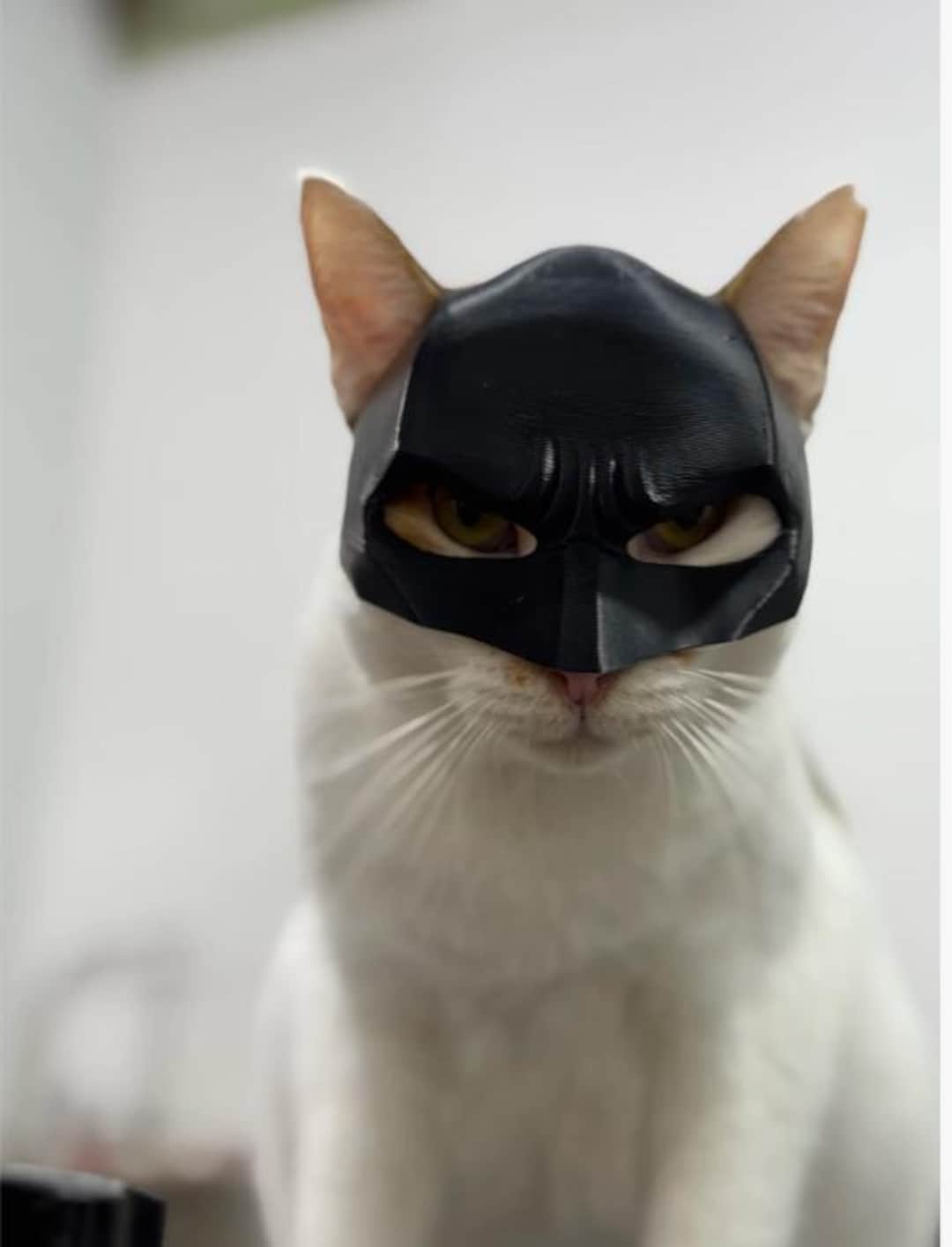 Batman Cat Mask - 3D Printed - Etsy