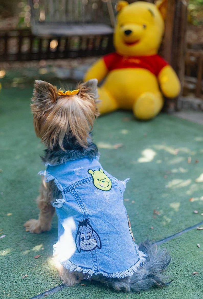 Winnie the Pooh Denim Vest - Etsy