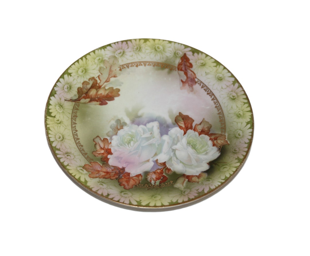 Prussia Royal Rudolstadt Beyer and Bock White Rose Plate With Daisy ...