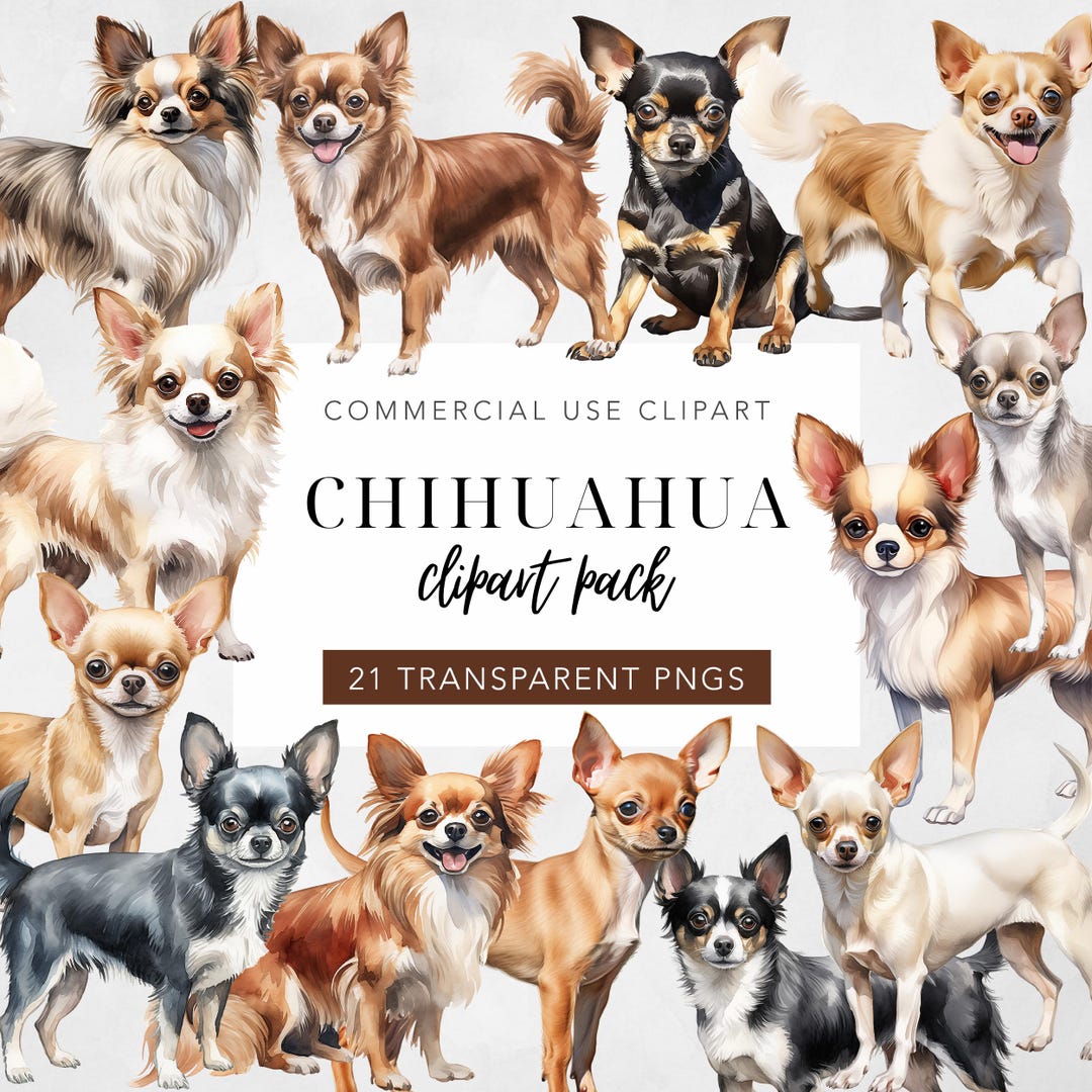 Chihuahua Clipart Watercolor Clip Art Chihuahuas Dog Cute Pet Animal ...