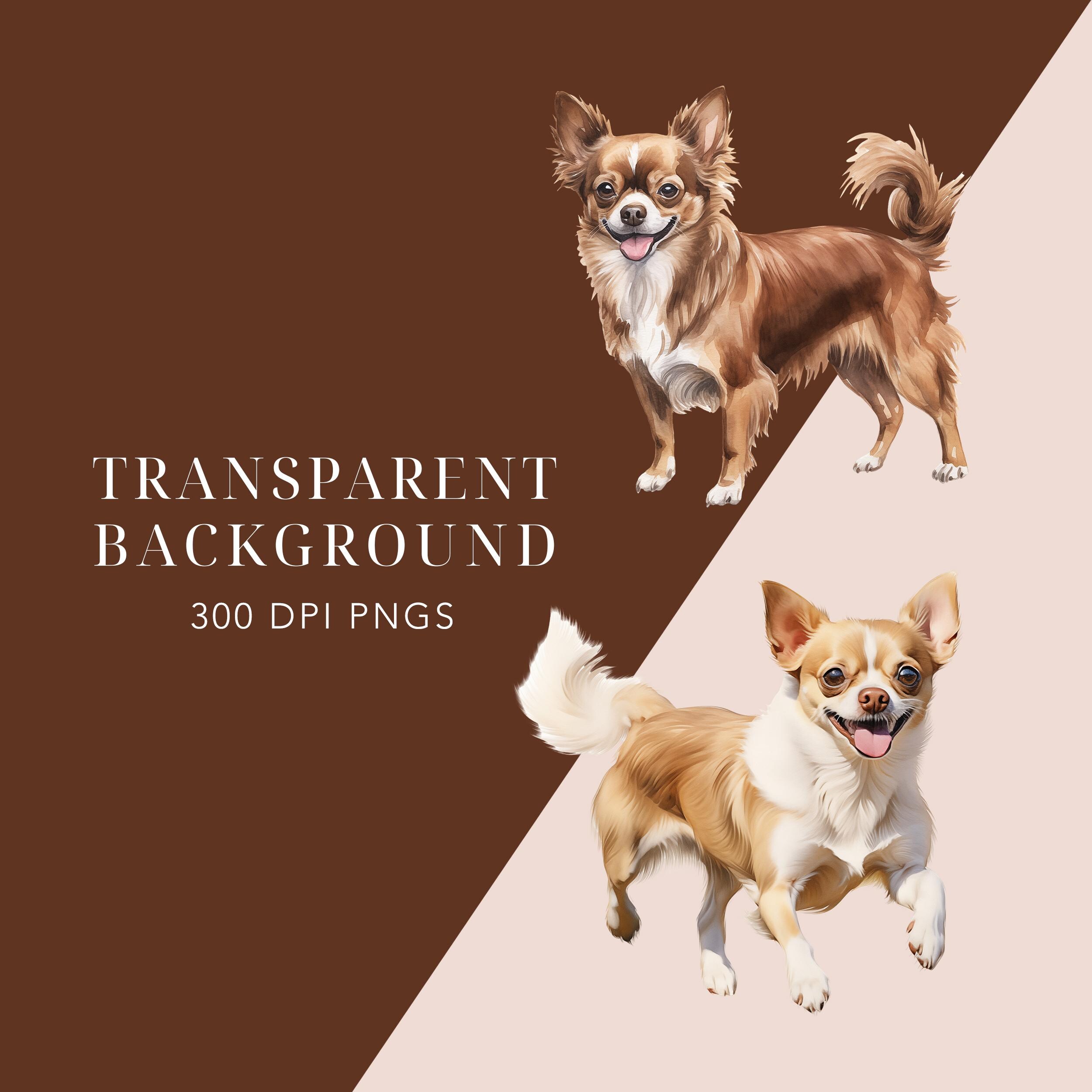 Chihuahua Clipart Watercolor Clip Art Chihuahuas Dog Cute Pet Animal ...