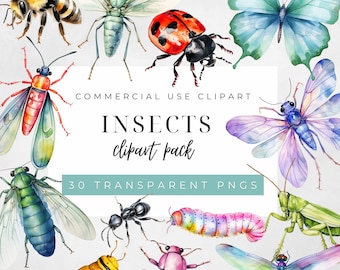 Bug & Insect Clipart Set PNG, Animal Illustration | Digital Instant ...