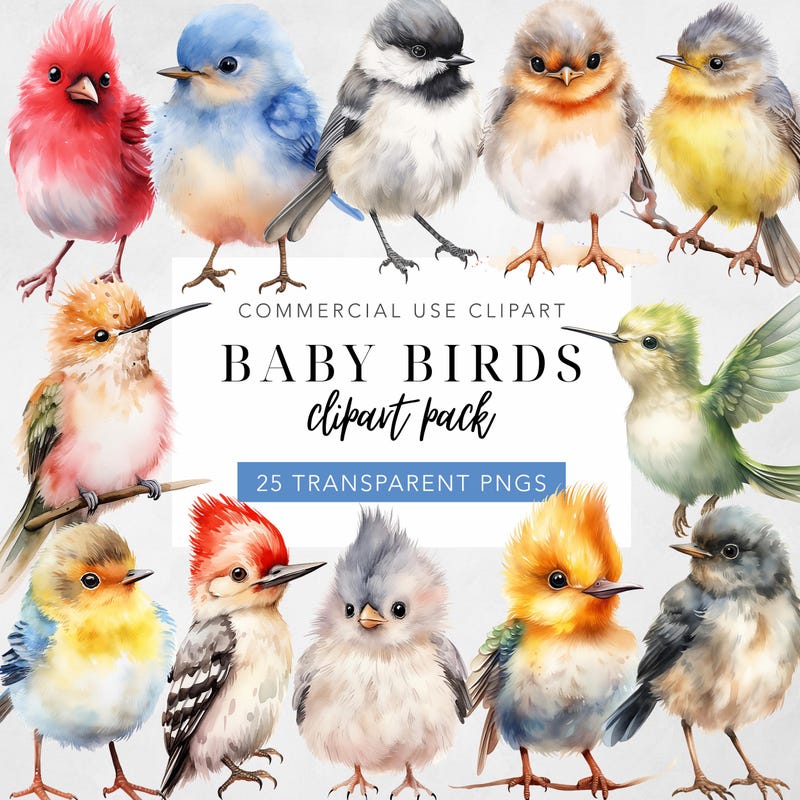 Cute Baby Bird Art Sets - Etsy