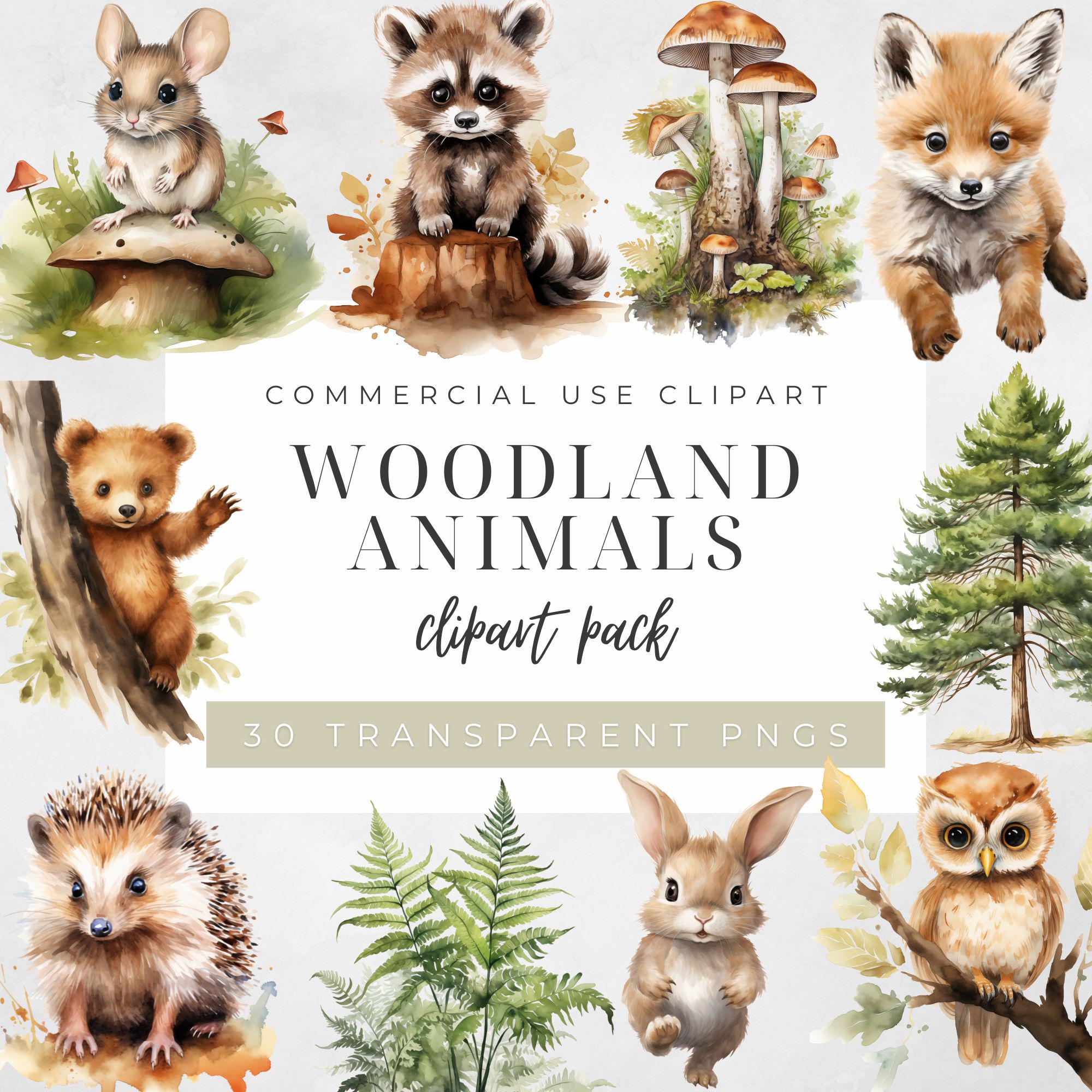 Woodland Animals Clipart Watercolor Bundle Forest Clip Art Nursery ...