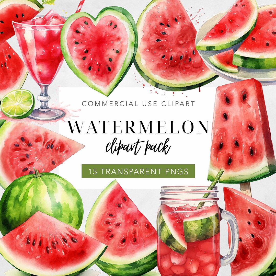 Watermelon Clipart Watercolor Pack Clip Art Bundle Summer Fruit ...