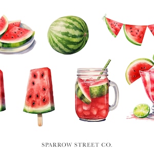 Watermelon Clipart Watercolor Pack Clip Art Bundle Summer Fruit ...