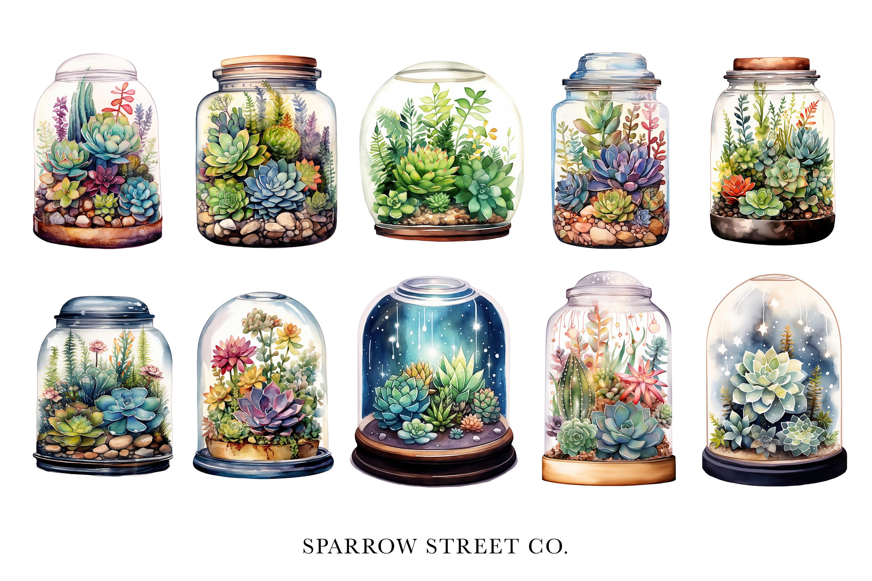 Terrarium Succulent Watercolor Clipart Fantasy Jar Garden Clip Art ...
