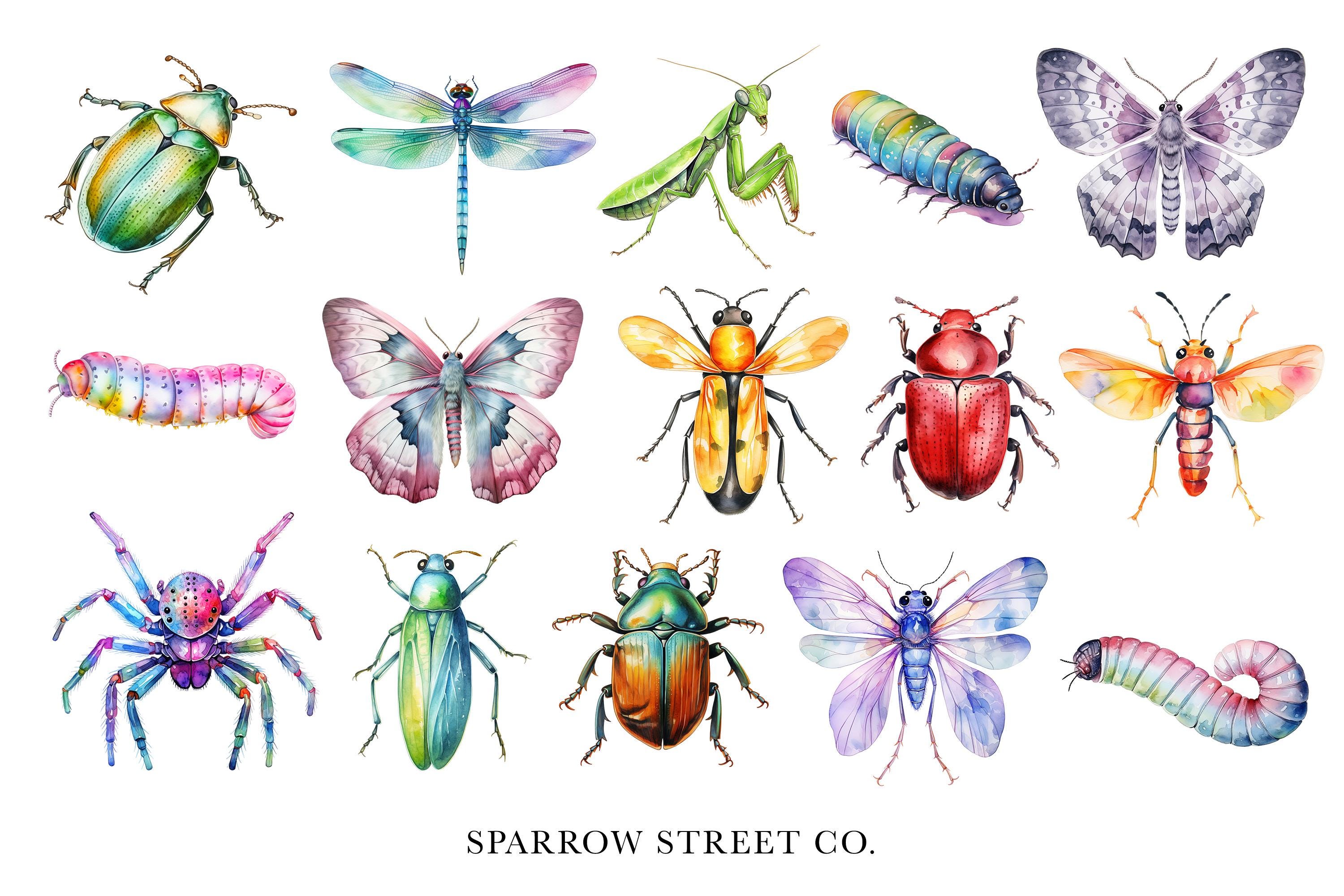 Insect Clipart Watercolor Insects Garden Graphics Butterfly Ant Bee ...