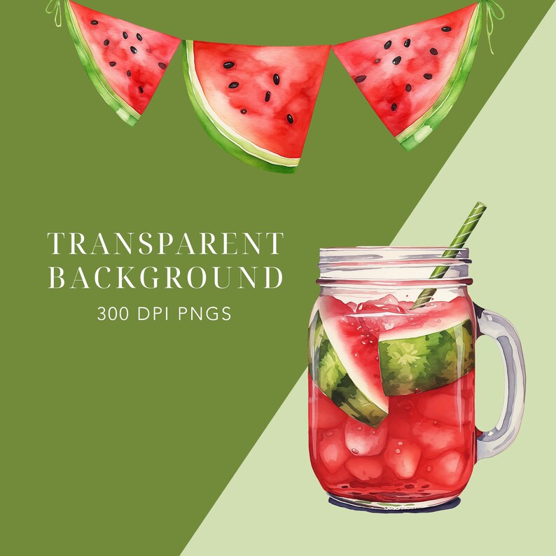 Watermelon Clipart Watercolor Pack Clip Art Bundle Summer Fruit ...