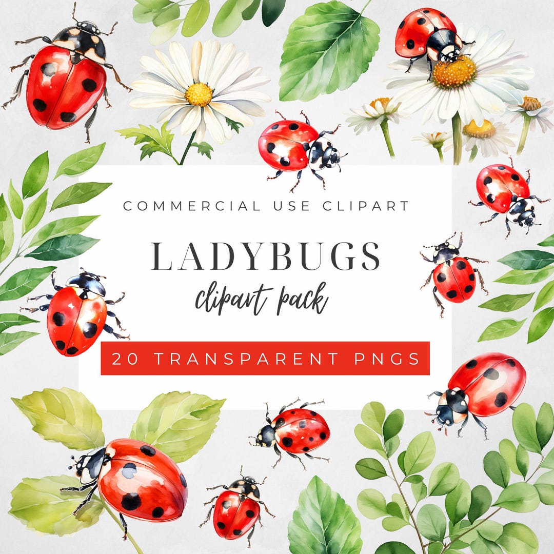 Ladybug Clipart Watercolor Insects Ladybugs Bundle Bug Bugs Insects ...