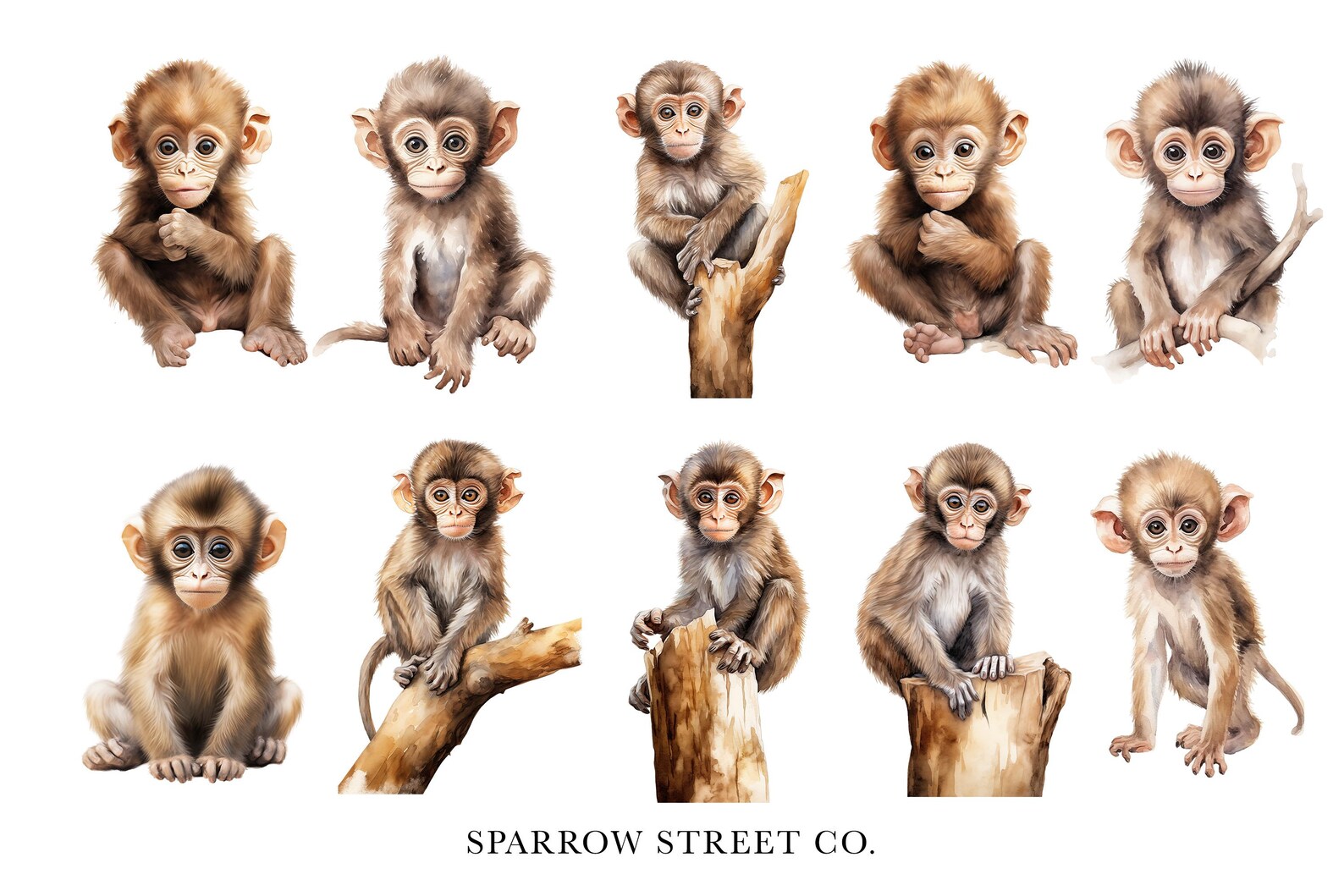 Watercolor Monkey Clipart Cute Baby Jungle Animals Printable Wall Art ...