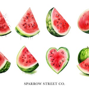 Watermelon Clipart Watercolor Pack Clip Art Bundle Summer Fruit ...