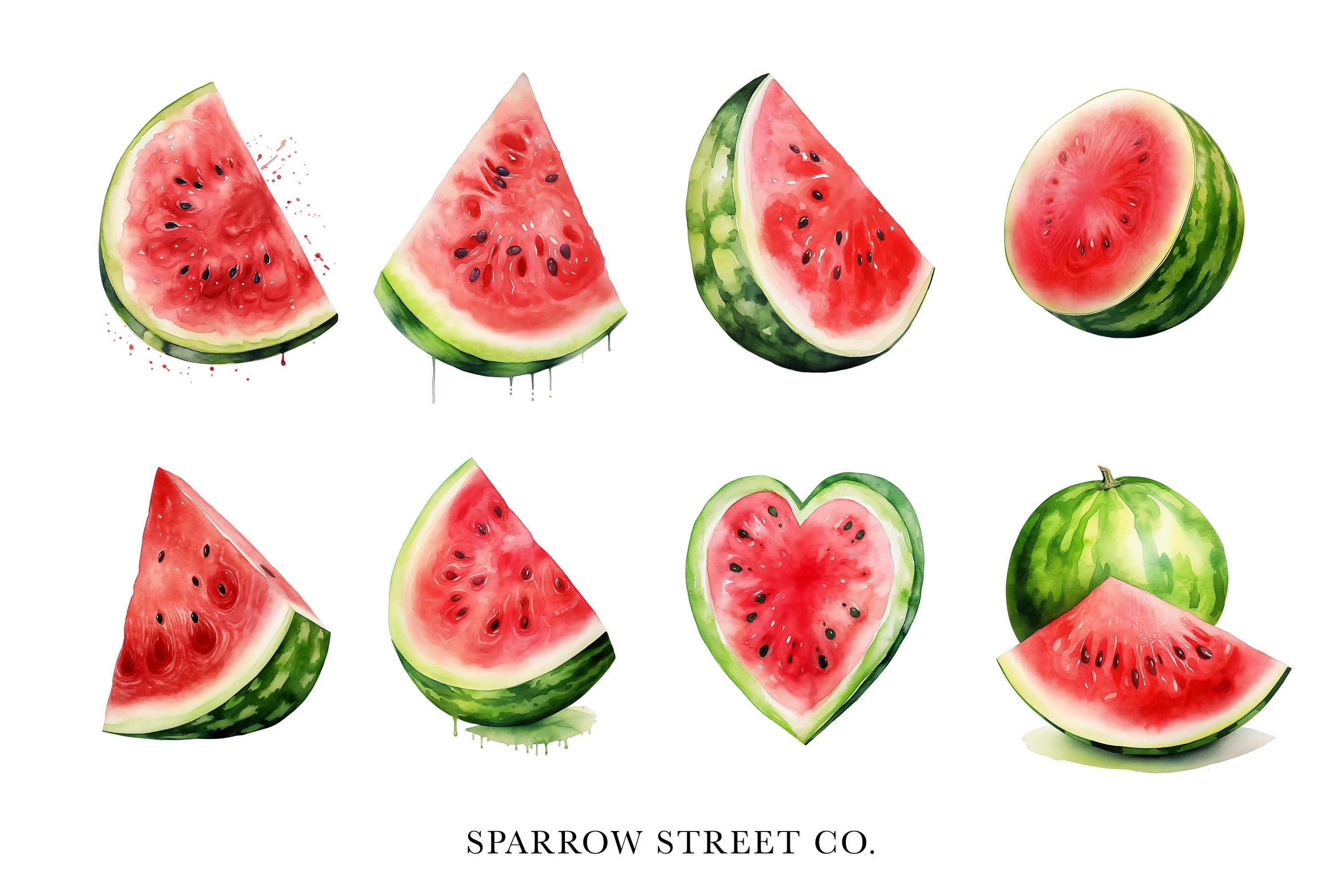 Watermelon Clipart Watercolor Pack Clip Art Bundle Summer Fruit ...