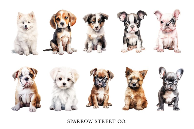 Watercolor Puppy Clipart Dog Breeds Cute Pet Clip Art Animal Graphics ...