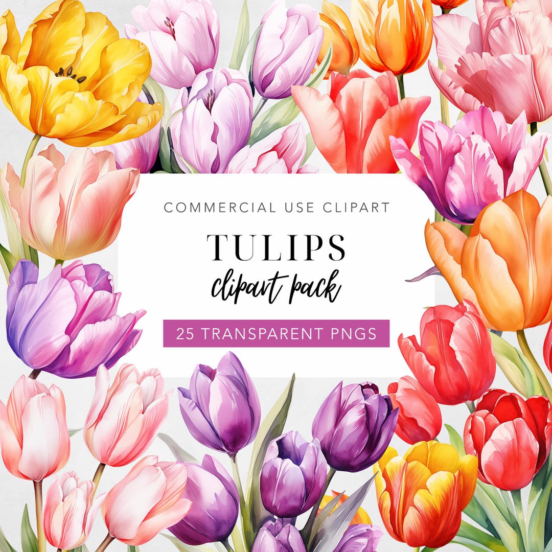 Tulip Watercolor Clipart Bundle Beautiful Spring Flowers Clip Art ...
