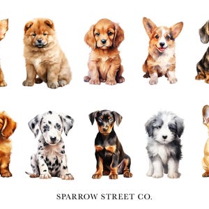 Watercolor Puppy Clipart Dog Breeds Cute Pet Clip Art Animal Graphics ...
