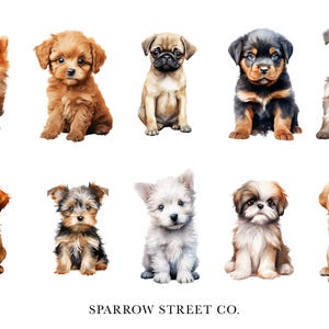 Watercolor Puppy Clipart Dog Breeds Cute Pet Clip Art Animal Graphics ...
