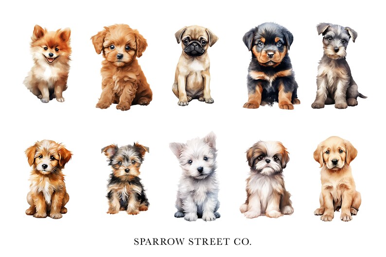 Watercolor Puppy Clipart Dog Breeds Cute Pet Clip Art Animal Graphics ...