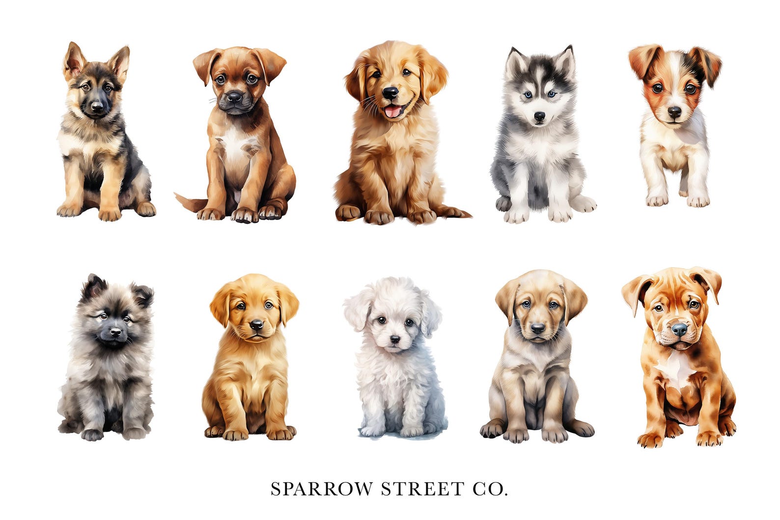 Watercolor Puppy Clipart Dog Breeds Cute Pet Clip Art Animal Graphics ...