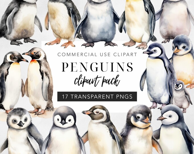 Digital Clip Art, Cute Penguins Clipart (instant Download, PNG File ...
