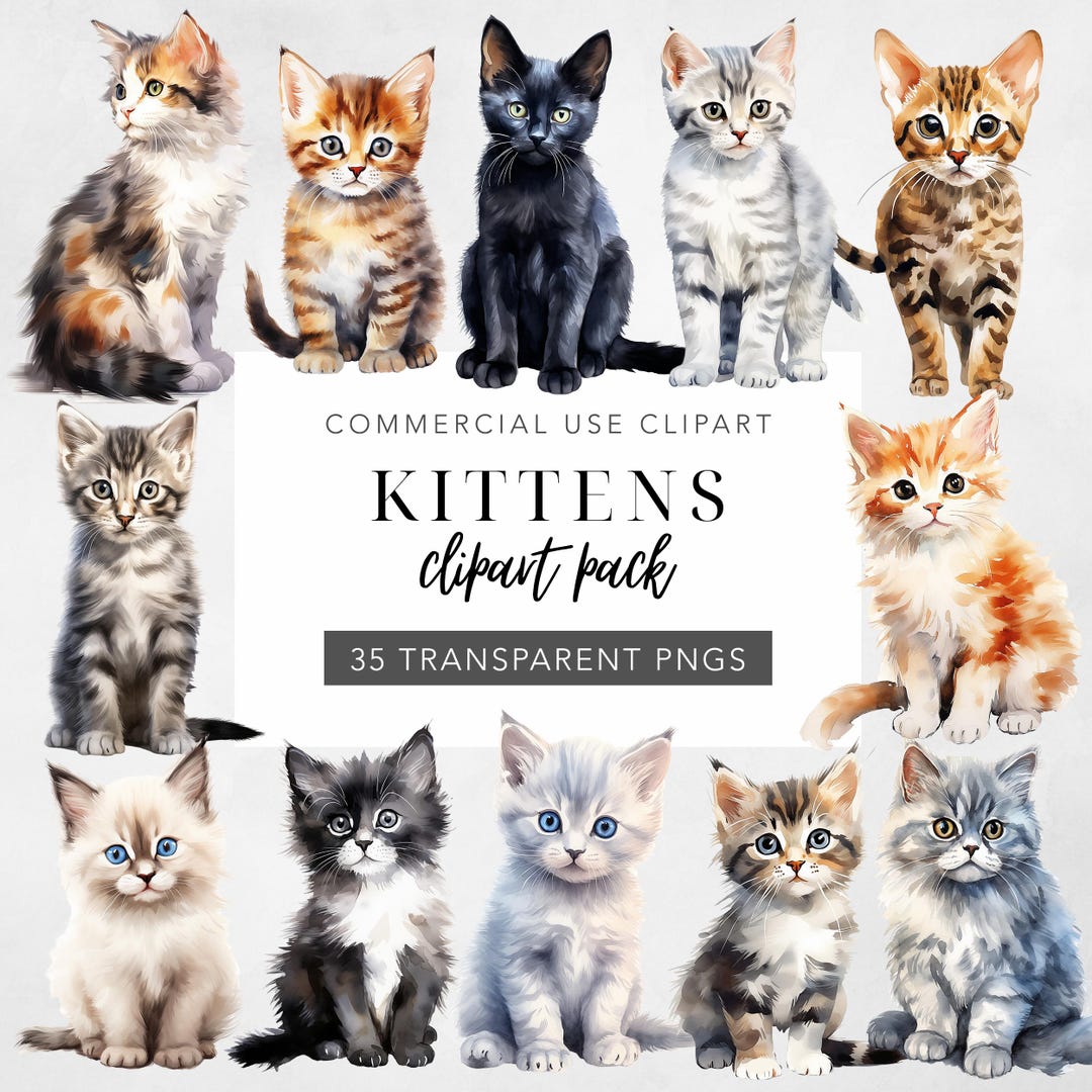 Watercolor Kitten Cat Clipart Cute Clip Art Cat Breeds Pets Graphics ...