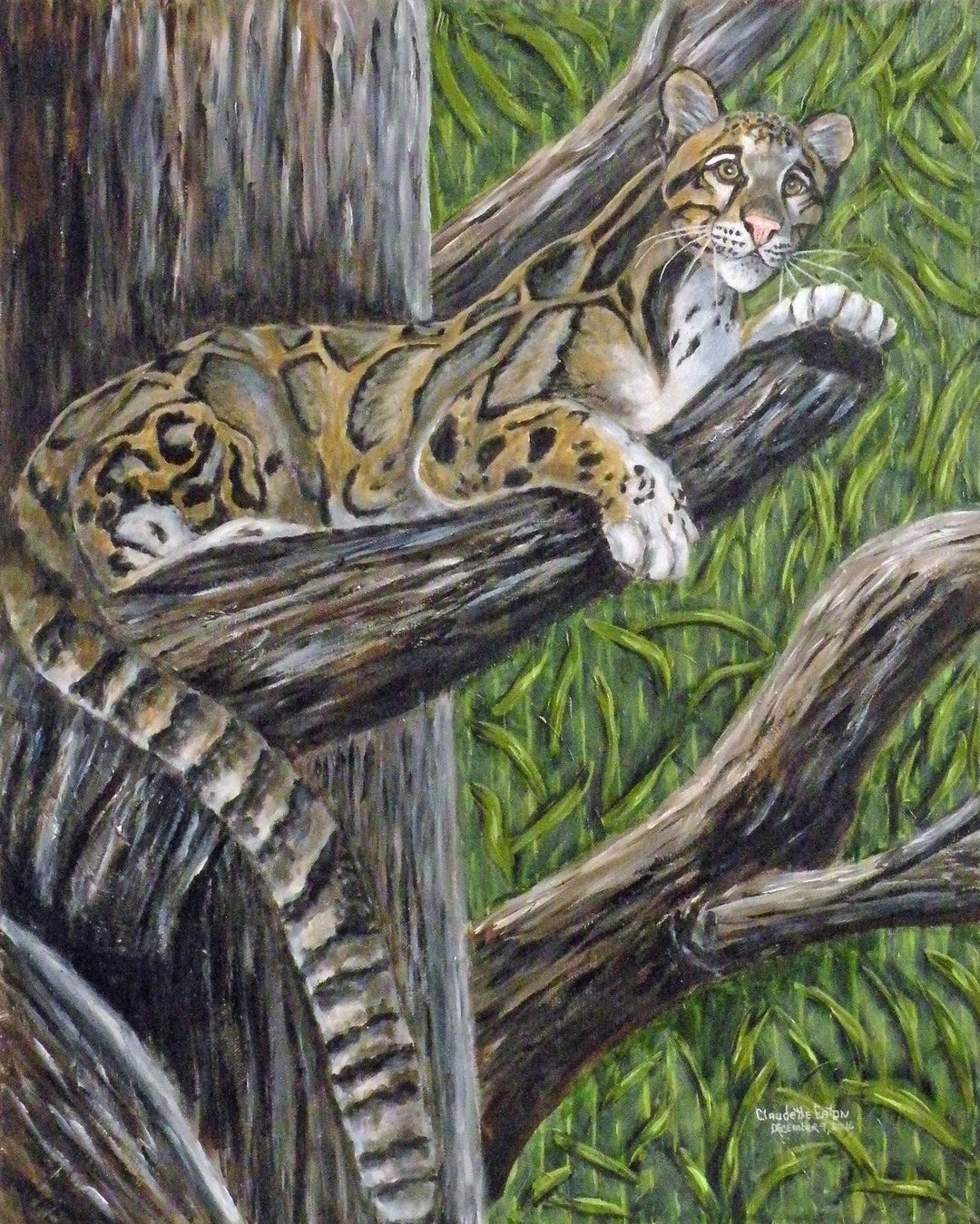 Clouded Leopard - Etsy