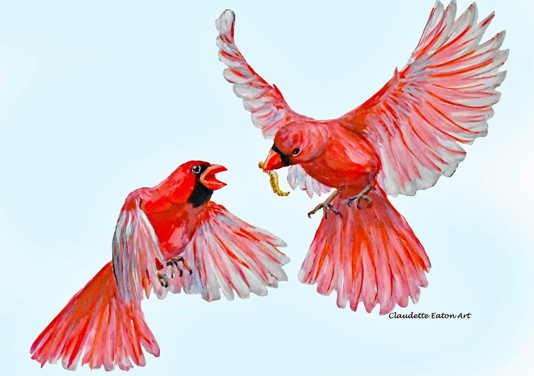 2 Cardinals in Flight - Etsy