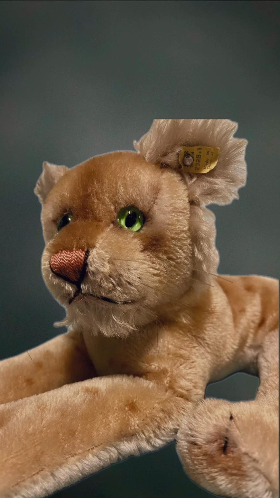 Vintage STEIFF LEOPARD CUB Button Yellow Tag Lying With Green Eyes Wool ...