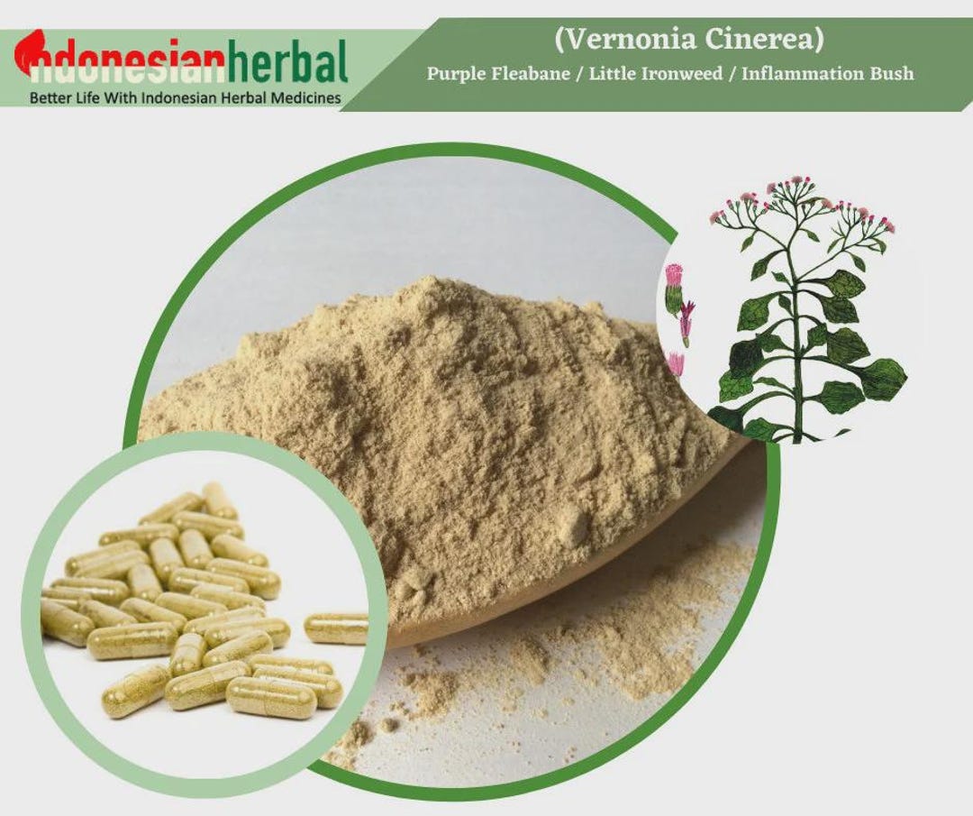 Capsule of PURE Purple Fleabane Little Ironweed Inflammation Bush ...