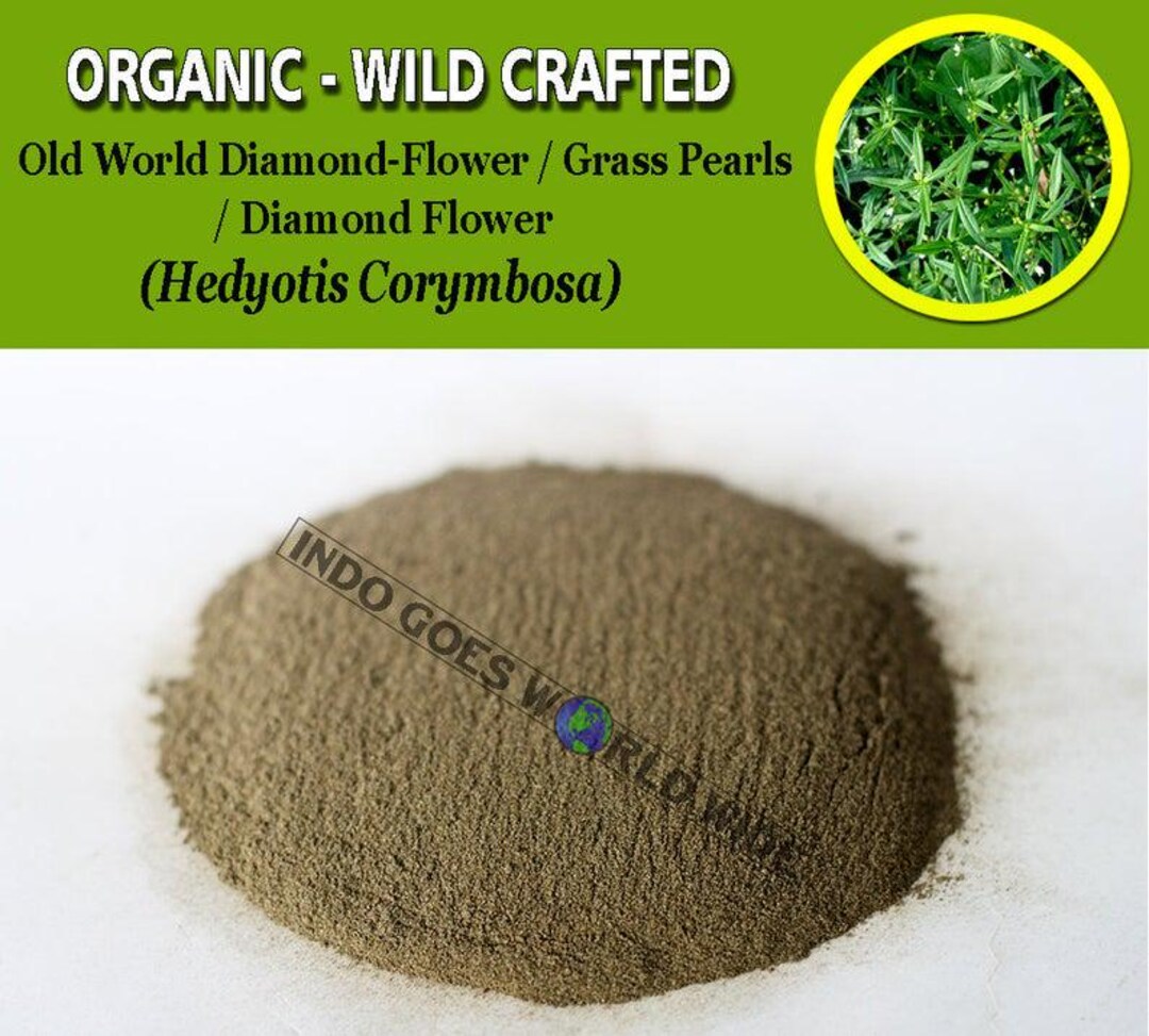 POWDER Pure of Old World Diamond-flower Grass Pearls Oldenlandia ...